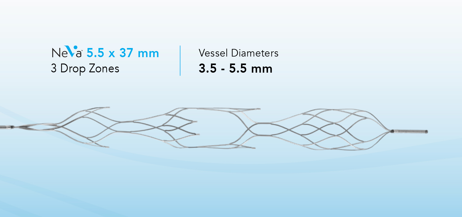 Discover NeVa - Vesalio